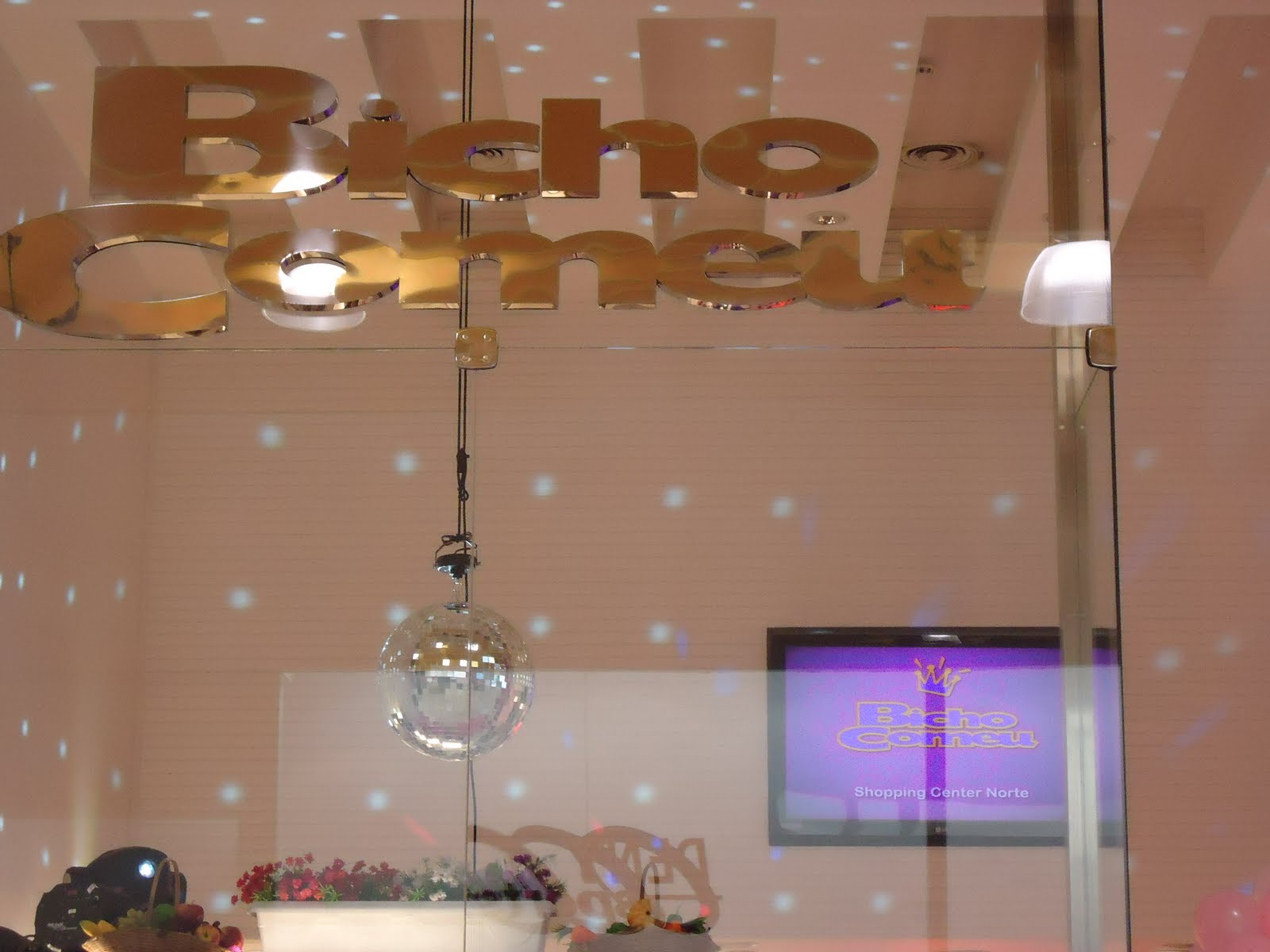 Bicho Comeu São Paulo: Aniversário da Bicho Comeu