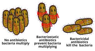 Puricare Industrial Enterprises: BACTERICIDAL VERSUS BACTERIOSTATIC ...