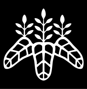 El rincón del Aikido: MON