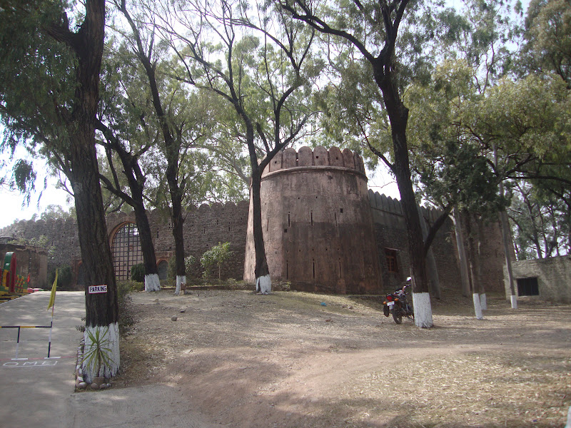 Climber & Explorer: Morni Hills & Morni Fort