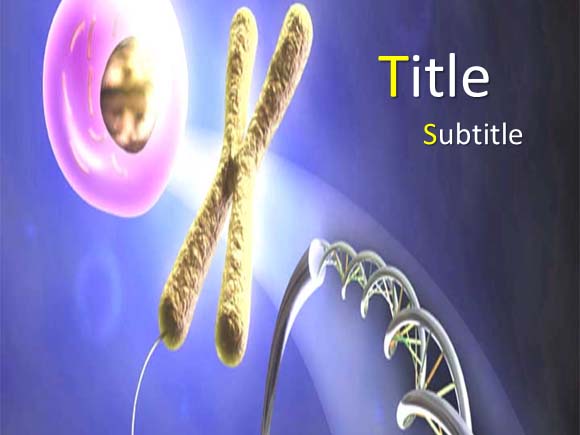 slideorbit: Chromosome PowerPoint Template
