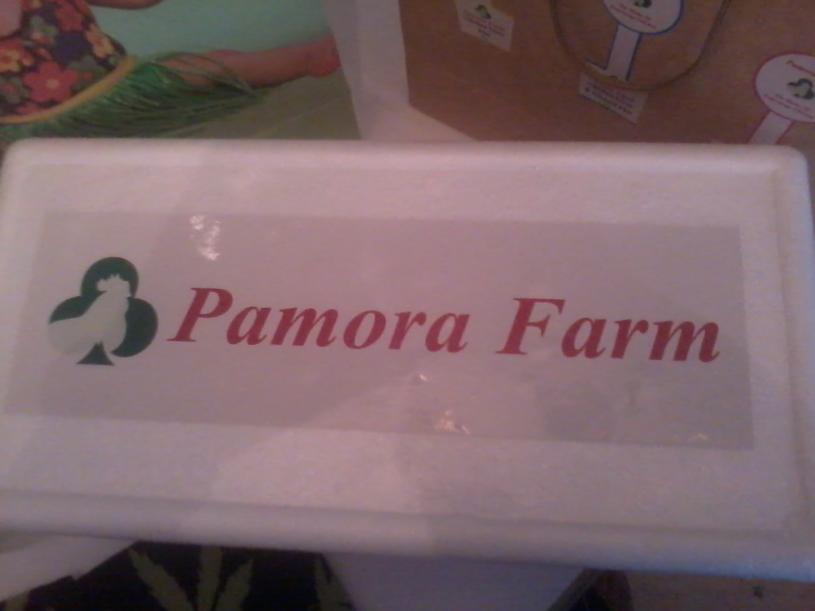 Pamora Farm: Abra’s Pride on World-Class Free Range Chicken | Security ...