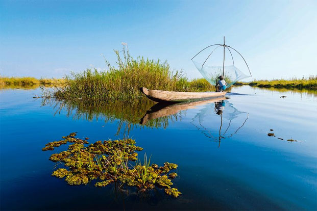 Keibul Lamjao - National Park, Manipur
