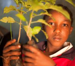 Kenya Forests: USAID Keeps Fighting the Good Fight