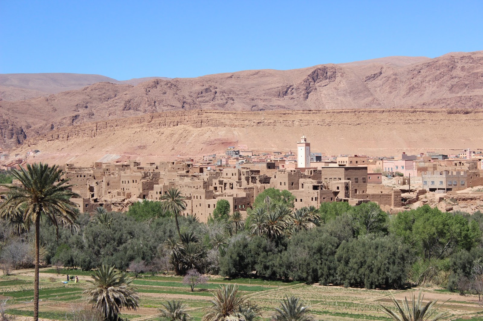 Souvenir Chronicles: MOROCCO: MERZOUGA TO SKOURA VIA THE TODRA AND ...