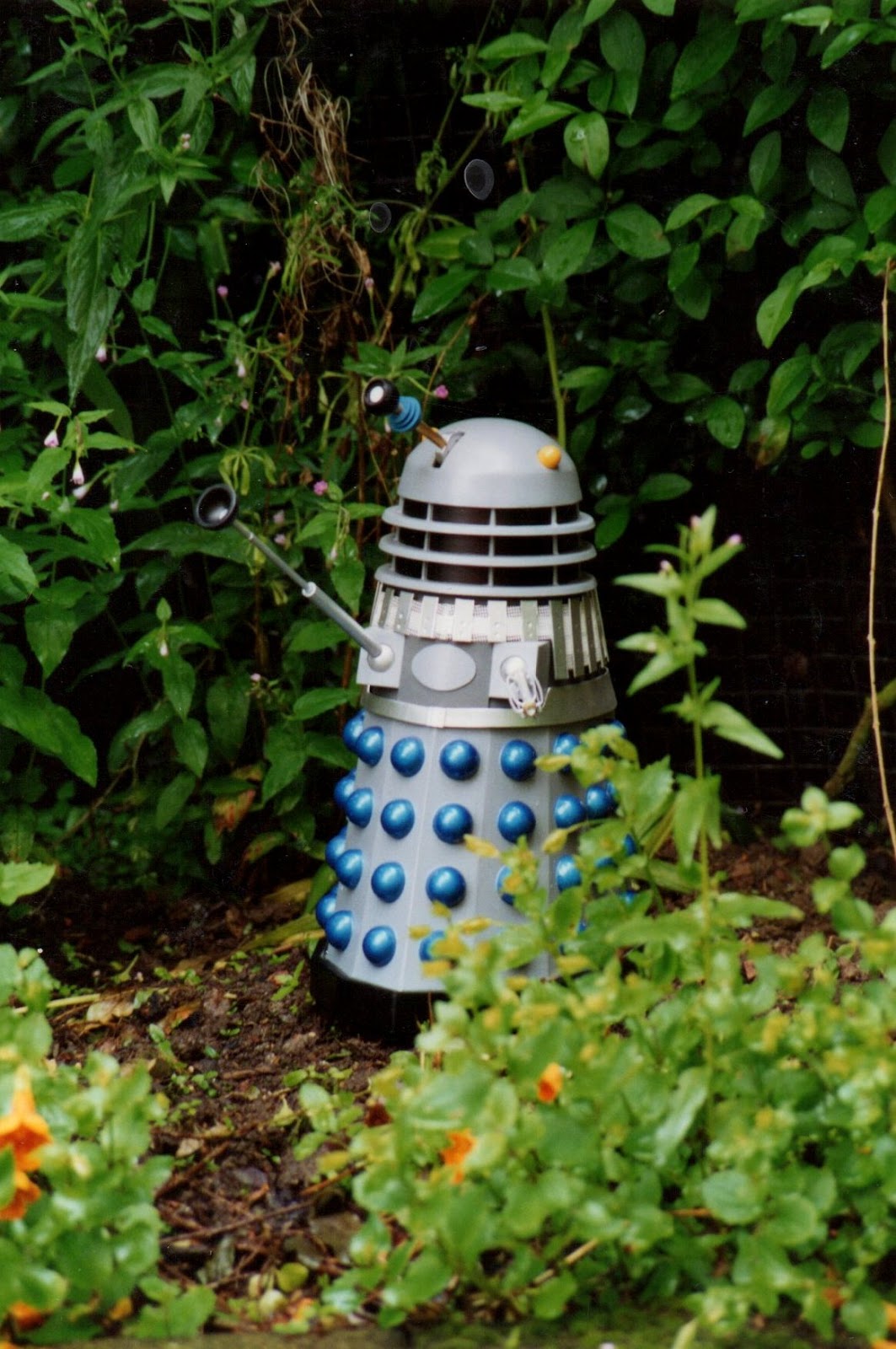 CRIVENS! COMICS & STUFF!: CAUGHT ON CAMERA - DALEK VISITATION...