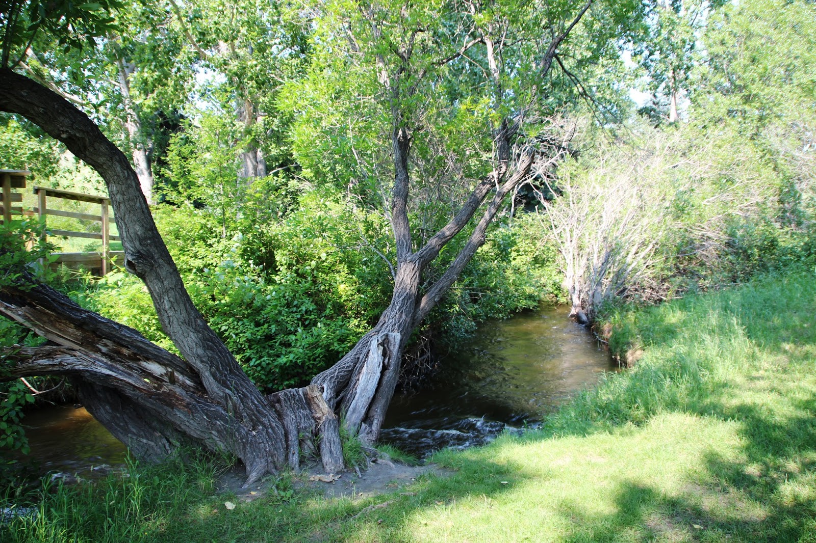 Get Me Outdoors: Cochrane Ranche