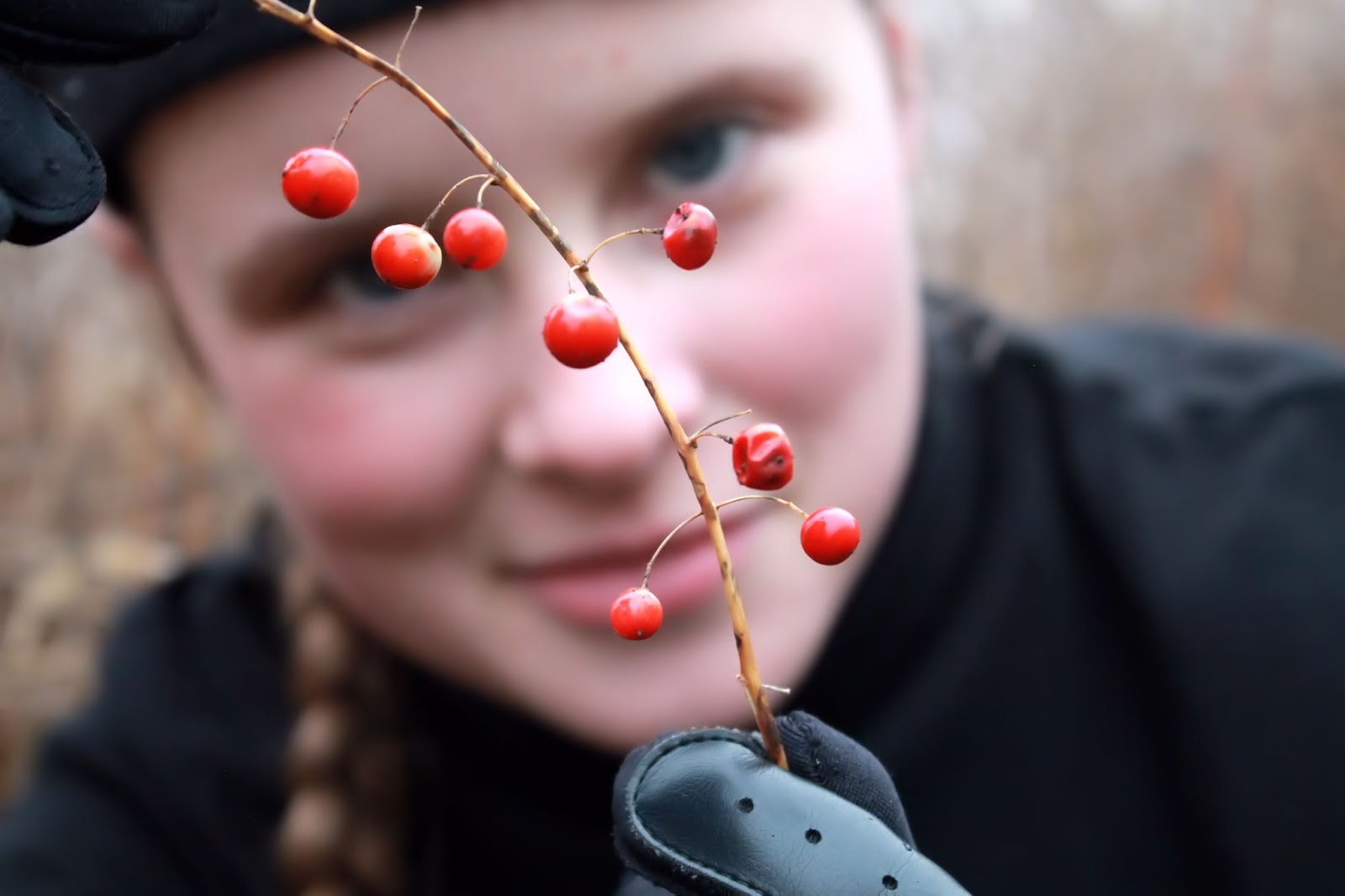 Exhortations by Elizabeth: Not-So-Calm November Eve: Assassin ...