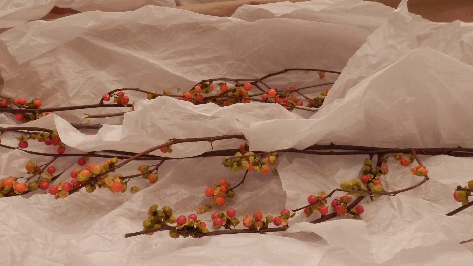 Let's Add Sprinkles: Buying and Using Bittersweet in Fall Decor