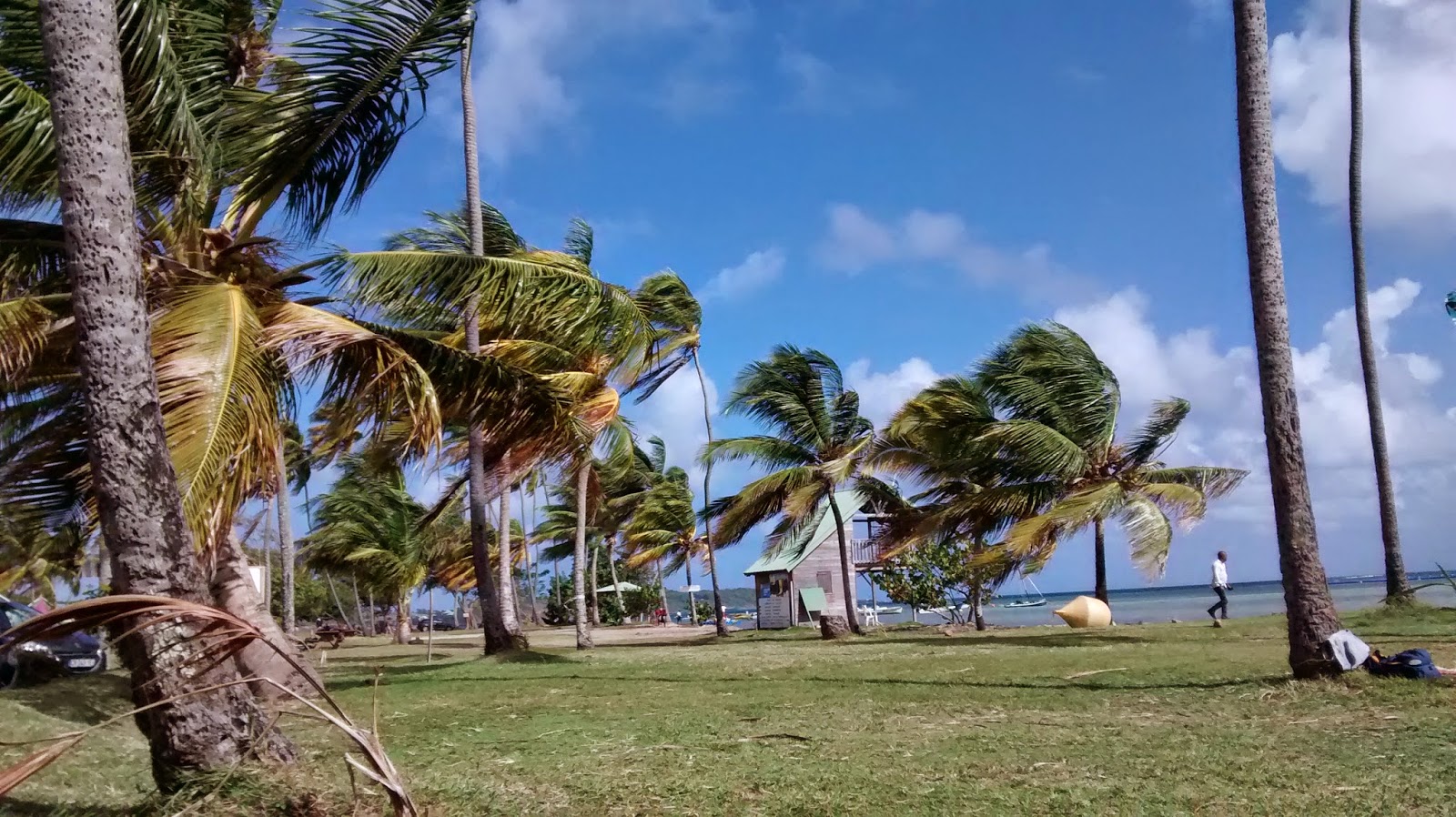 Veni Vedi Voyage!: La Martinique / La Pointe Faula - Paradis des ...