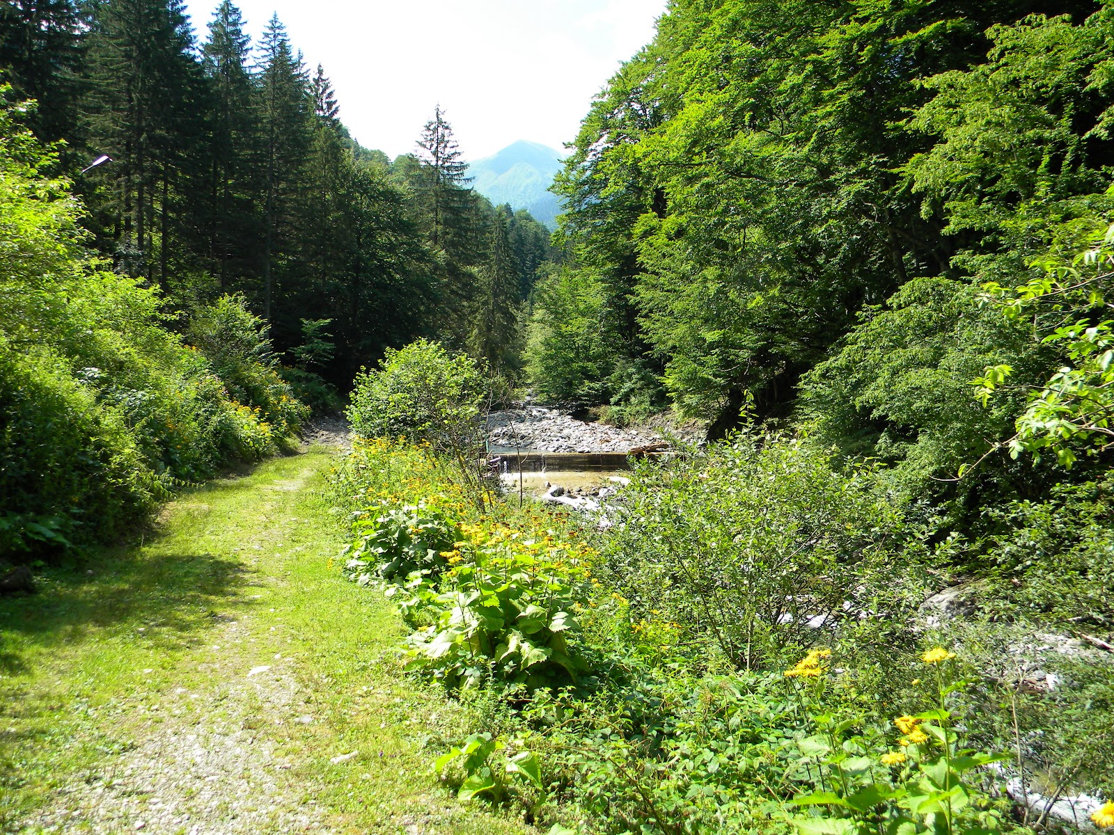 lumea in albastru: Valea Avrigului