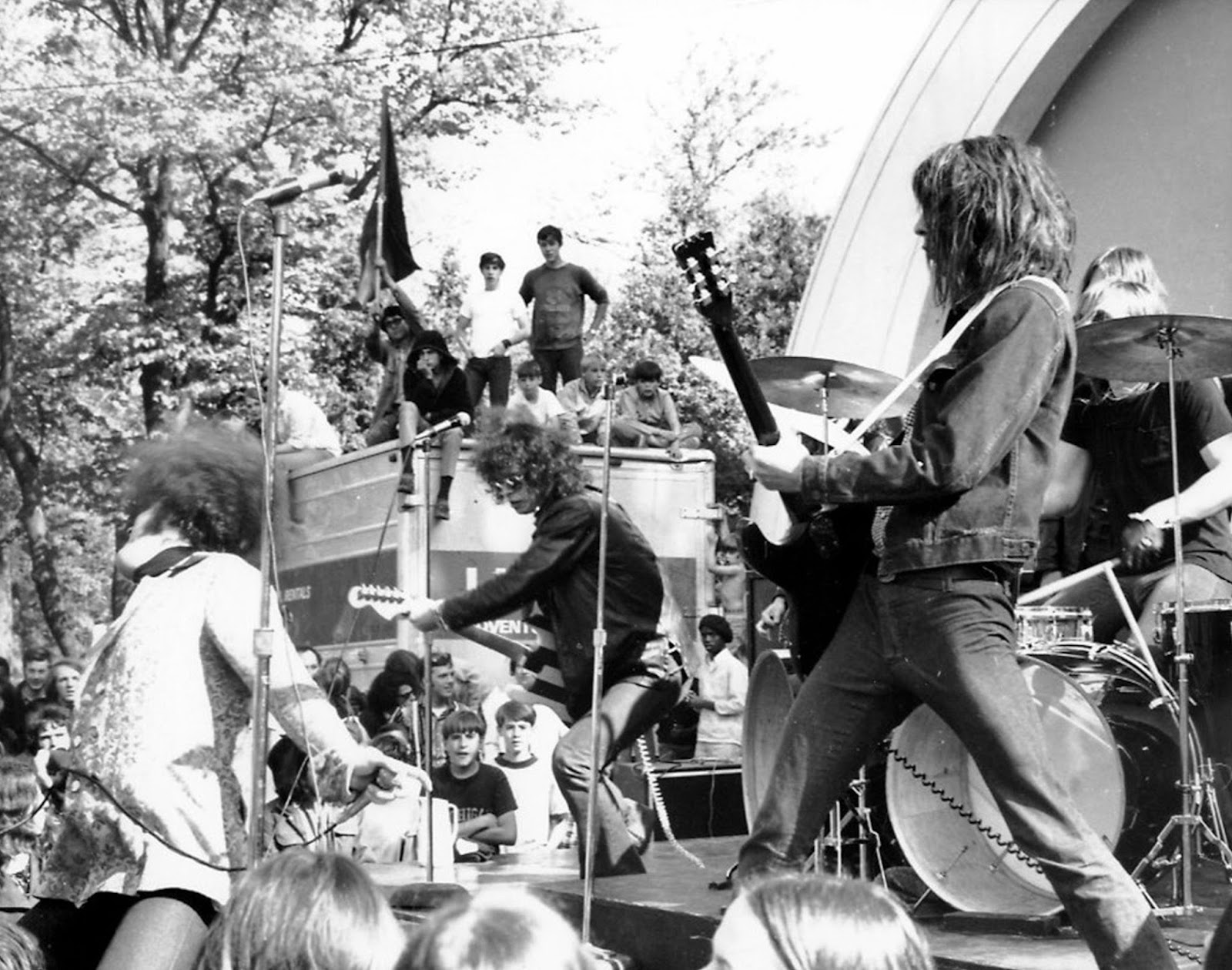 Forestdweller: MC5