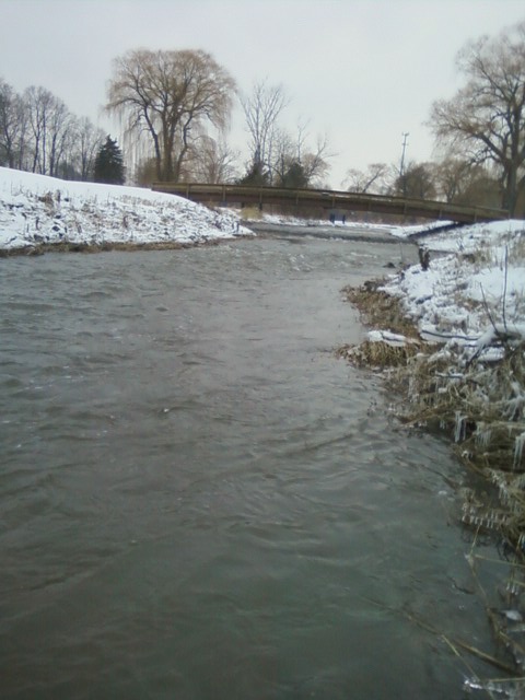 Illinois Wisconsin Fishing: the pike river in early spring