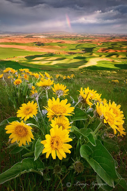 The coolest and most beautiful landscapes in the world | TOOOPIC