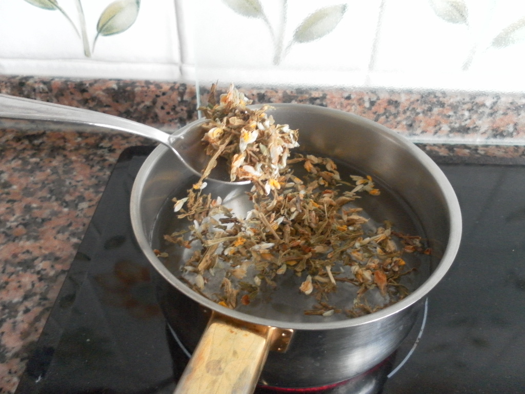 Mundo Fernanda: Carqueja e seus benefícios