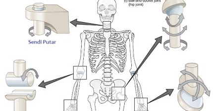 Lembar Kerja Siswa (LKS) Menjelaskan Sendi - UT Kita