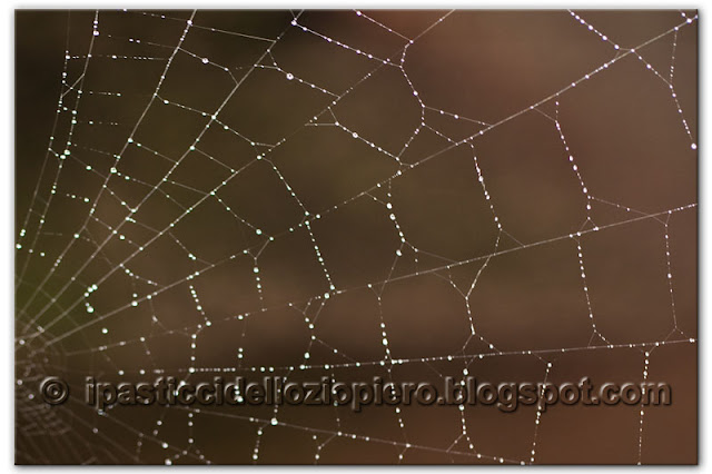 I Pasticci dello Ziopiero: Scatti 10 - La tela del ragno