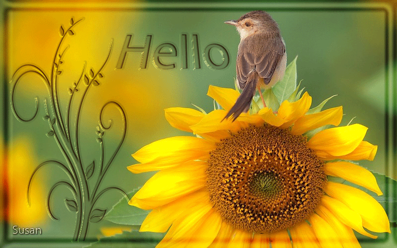 Animaciones y Gif: Hola - Hello