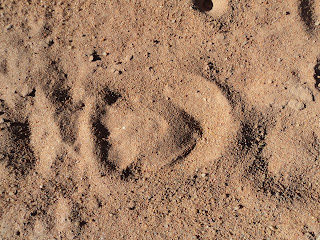 Els en Stefaan in Zuid-Afrika