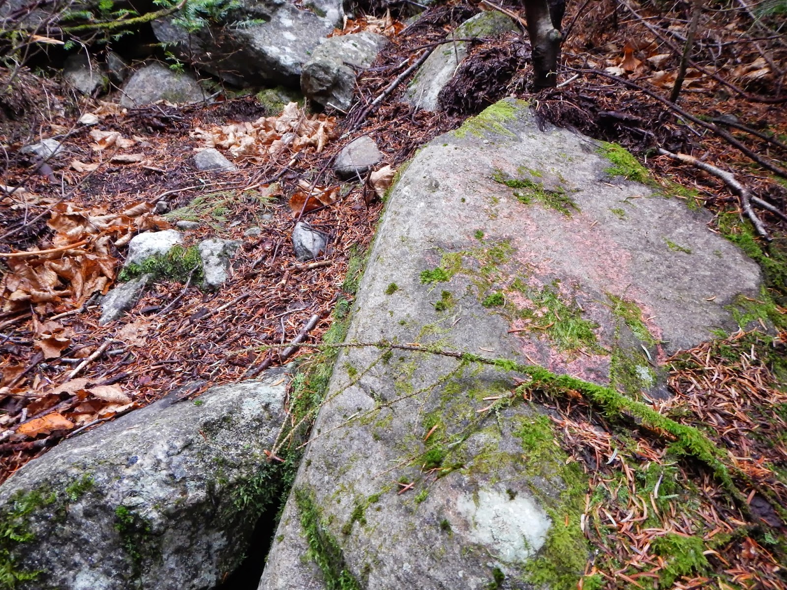 Hitting the Trails: 10/20/2013-10/21/2013 Mount Adams and The Great Gulf