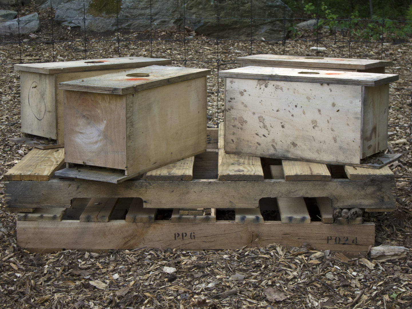 Dispatch from the Digital Health Frontier: Building Unity Farm - The ...