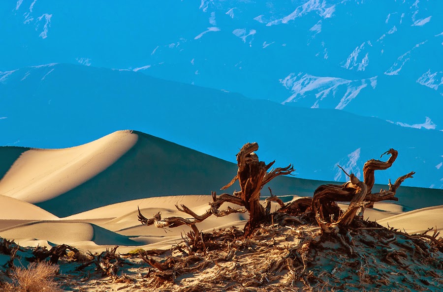 OLTRE IL MURO: ARTE e FOTOGRAFIA: HANS KRUSE | PHOTOGRAPHER