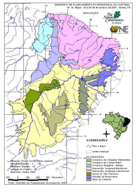 VENTO NORDESTE: O RICO E SURPREENDENTE BIOMA DA CAATINGA