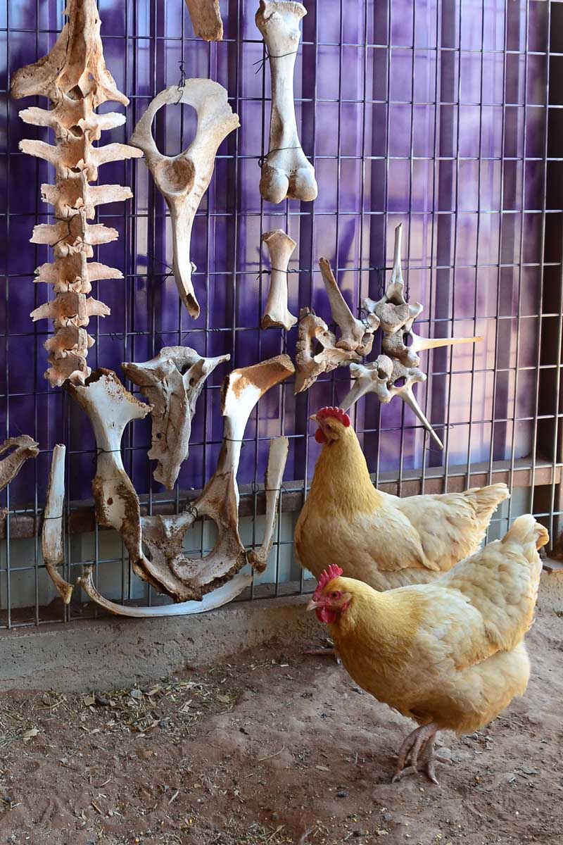 The 7MSN Ranch: Art is in the eye of the beholder