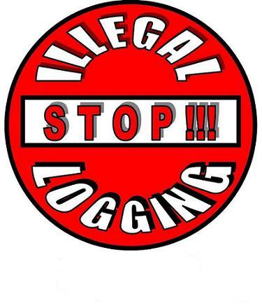 Logging: Why do people cut down trees?