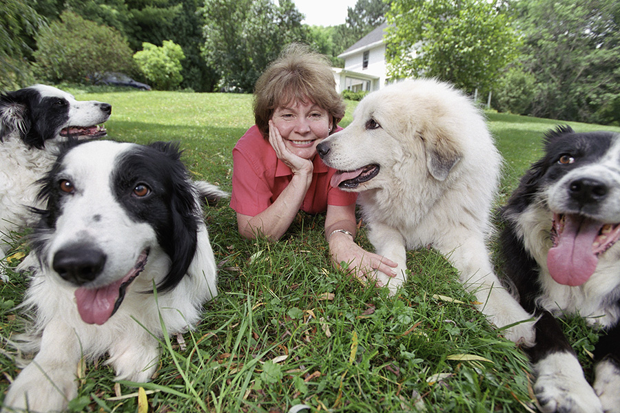 Paradigm InfoStream: BEHAVIOUR - Building Resilience in Dogs