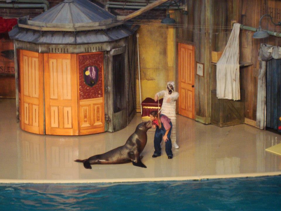 There's Magic Out There: SeaWorld Howl-O-Scream after dark