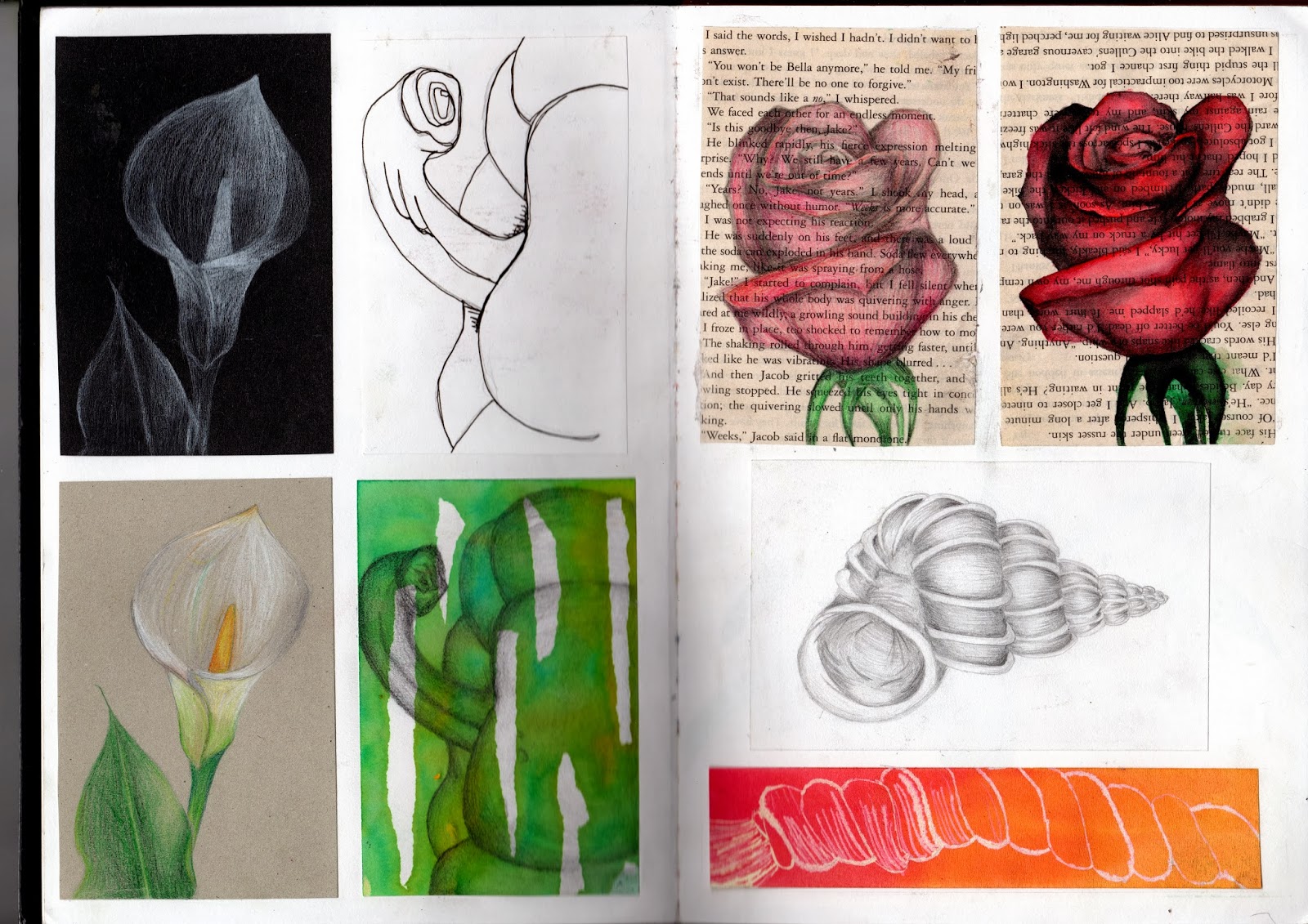 1111192934 Digital Portfolio: Sketchbook page natural forms