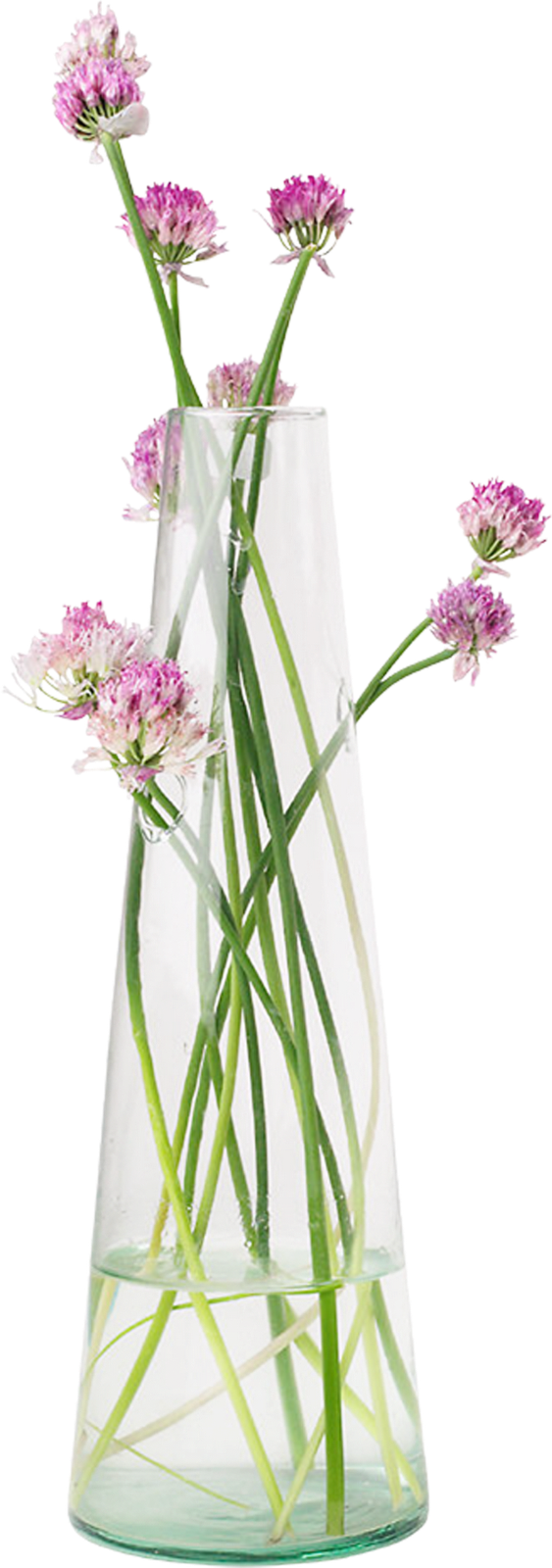 ® Gifs y Fondos Paz enla Tormenta ®: FLOREROS