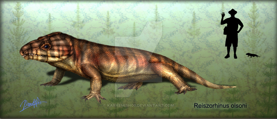 Escenarios prehistóricos: Reiszorhinus