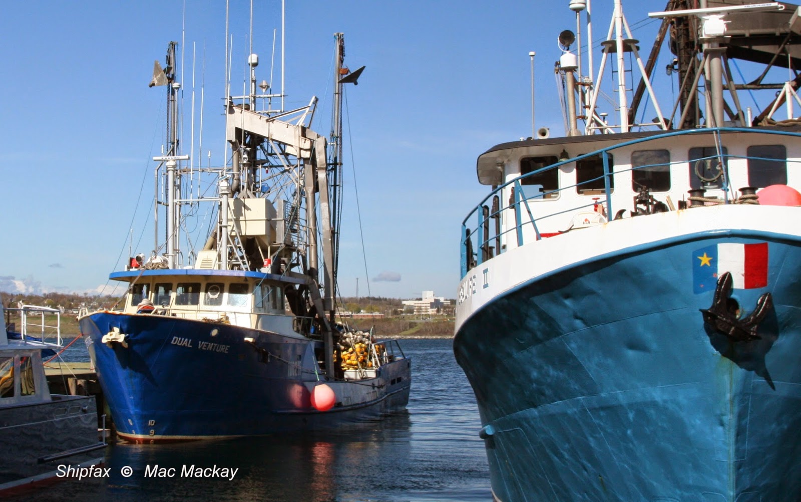 Shipfax: Harbour Roundup