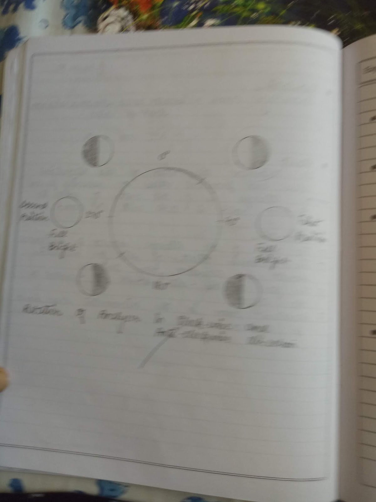 Specific rotation using Half shade polarimeter