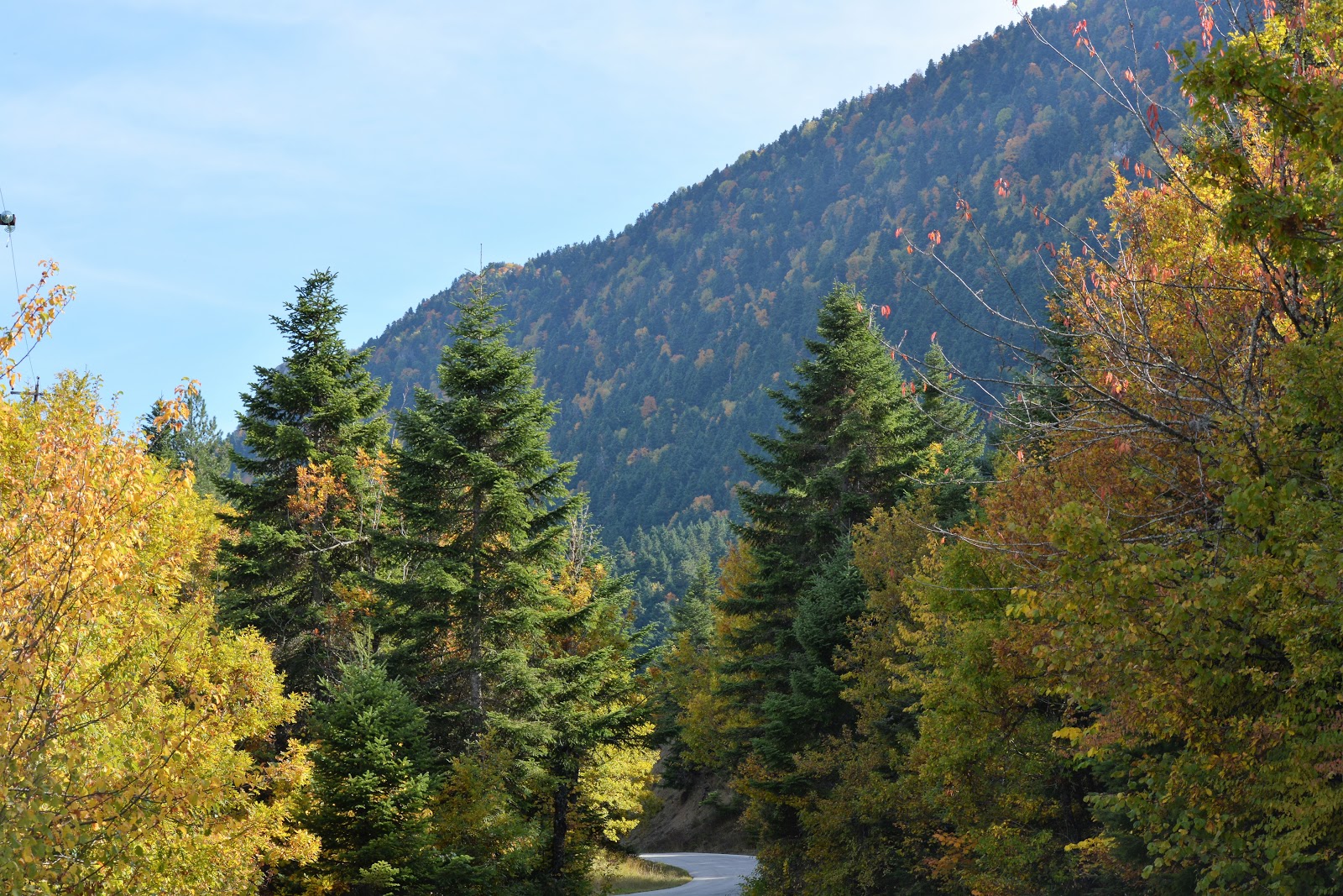 Homo Universalis: ΔΙΚΟΡΦΟ ΖΑΓΟΡΙΟΥ - ΦΩΤΟΓΡΑΦΙΚΟ ΑΛΜΠΟΥΜ ΤΟΥ ΜΠΑΜΠΗ ...