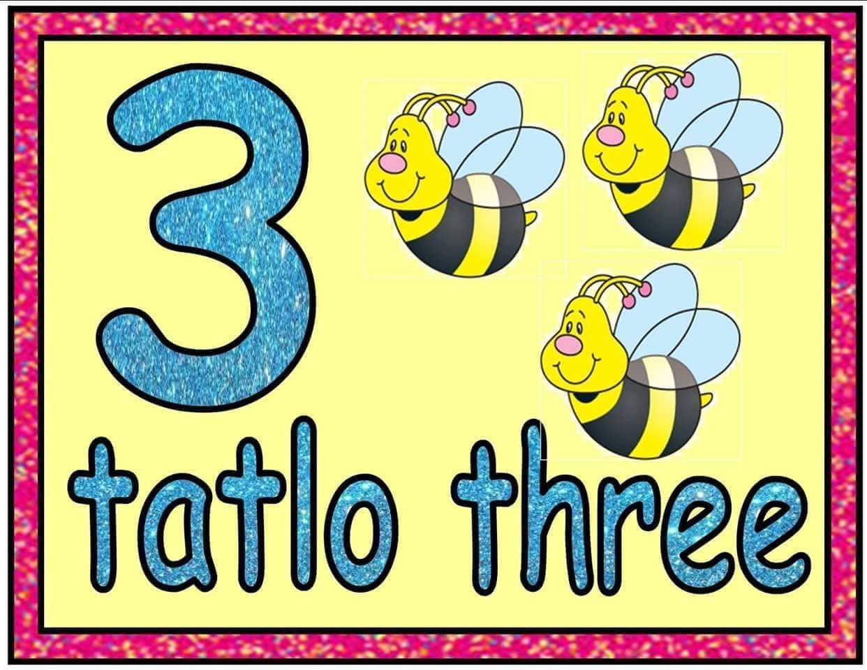 Teacher Fun Files: Number Flashcards English & Filipino