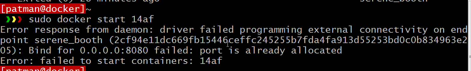 WhiteBoard Coder: Downloading Docker Images and Running them as docker ...