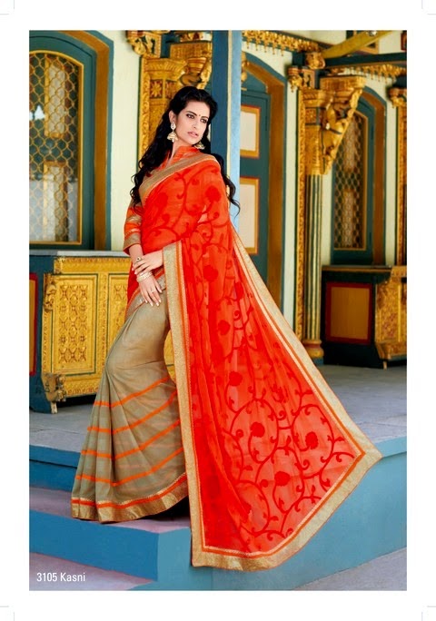 Best Embroidered Saree's 2014 Laxmipati l KAVYA Saree By Laxmipati 2014 ...