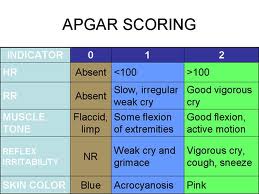 Anglican Yinzer: Measuring Our Apgar at Redeemer