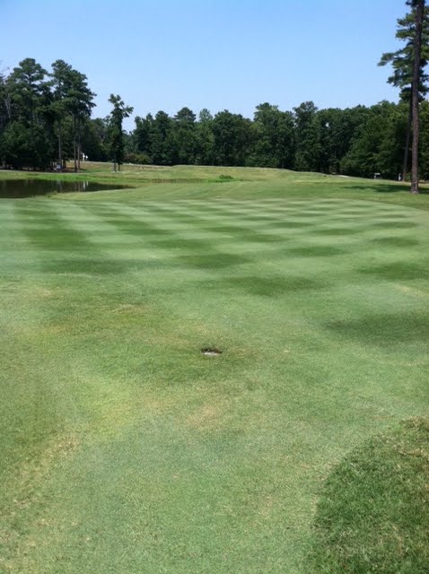 Two Rivers Country Club Golf Maintenance: A look on the positive side