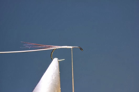 Niklas Dahlin -Flytier: Grey Fox Variant