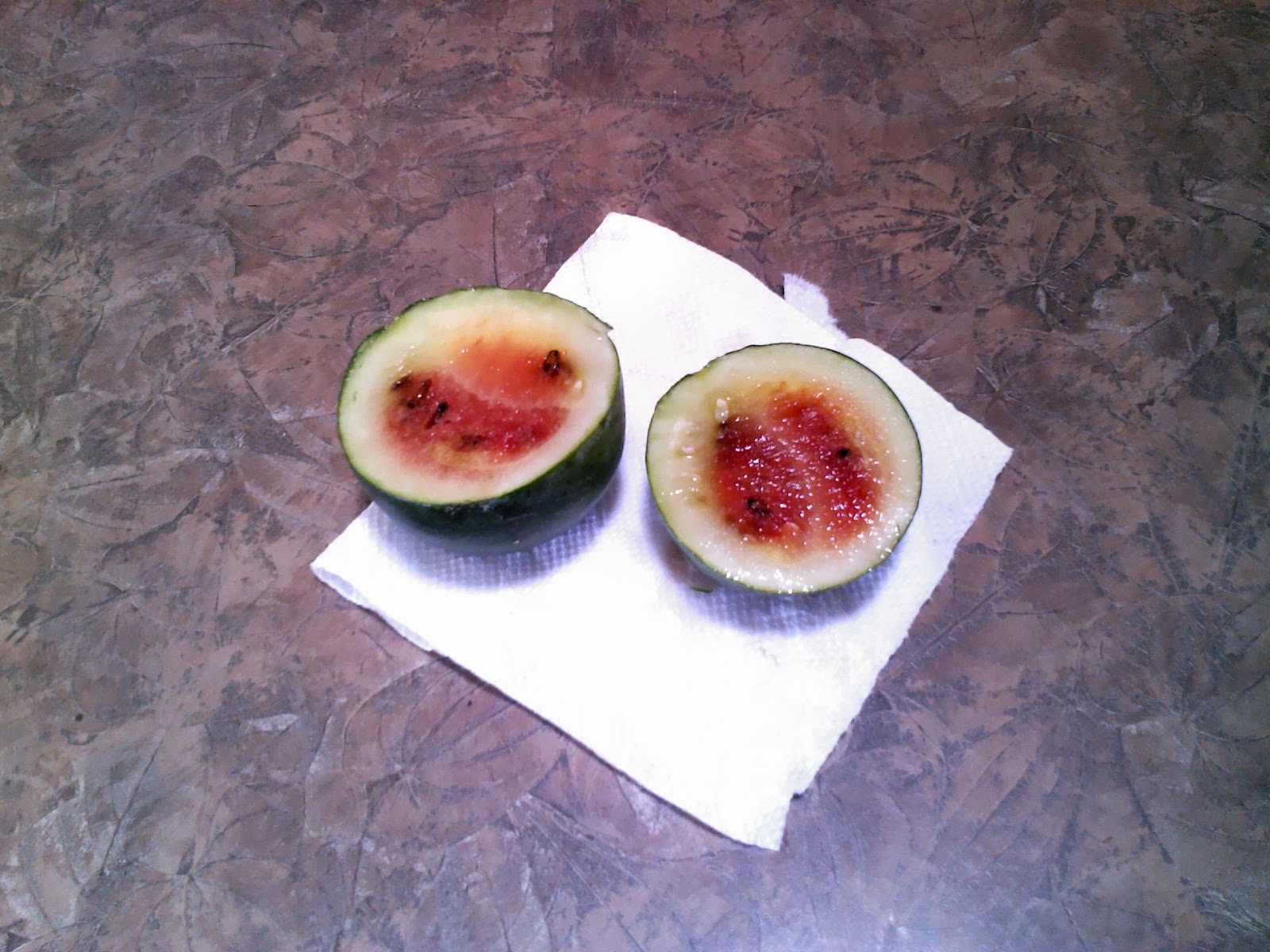 Foto Blog Puerto Rico: Berenjenas, Calabacin y Melon