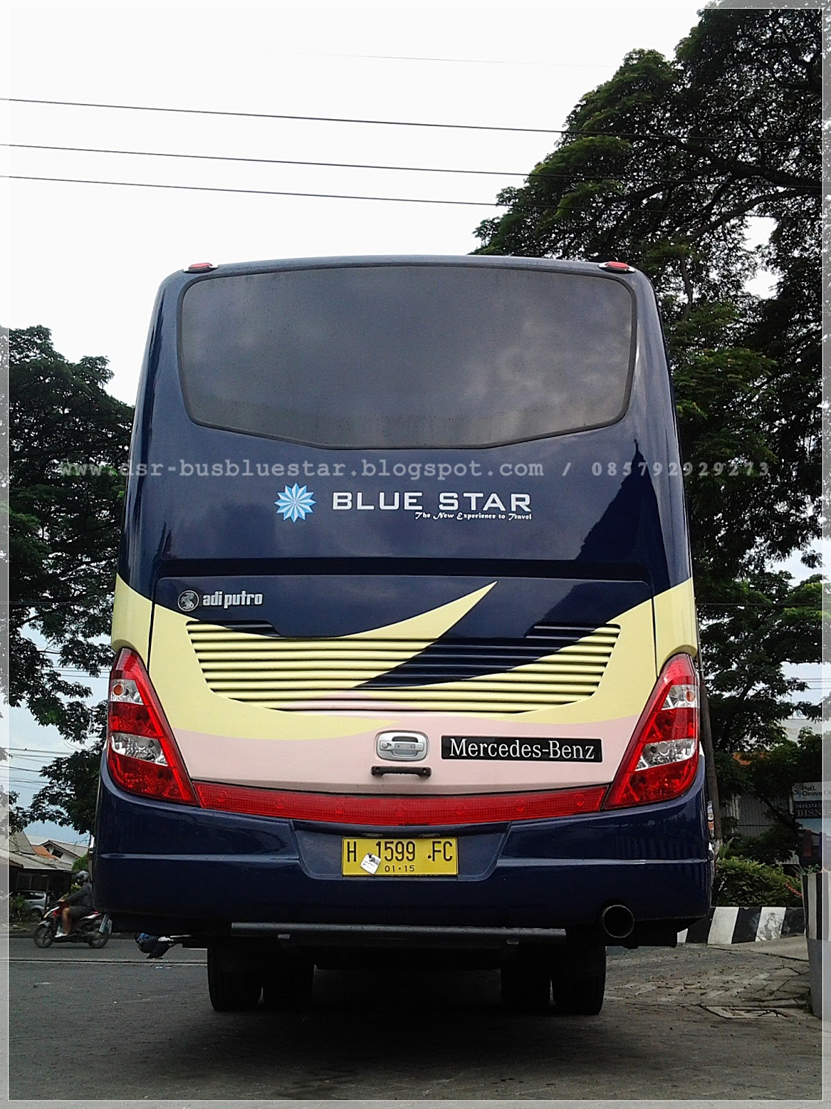 Direct Sales Representative Bus Pariwisata Blue Star : BUS BLUE STAR ...
