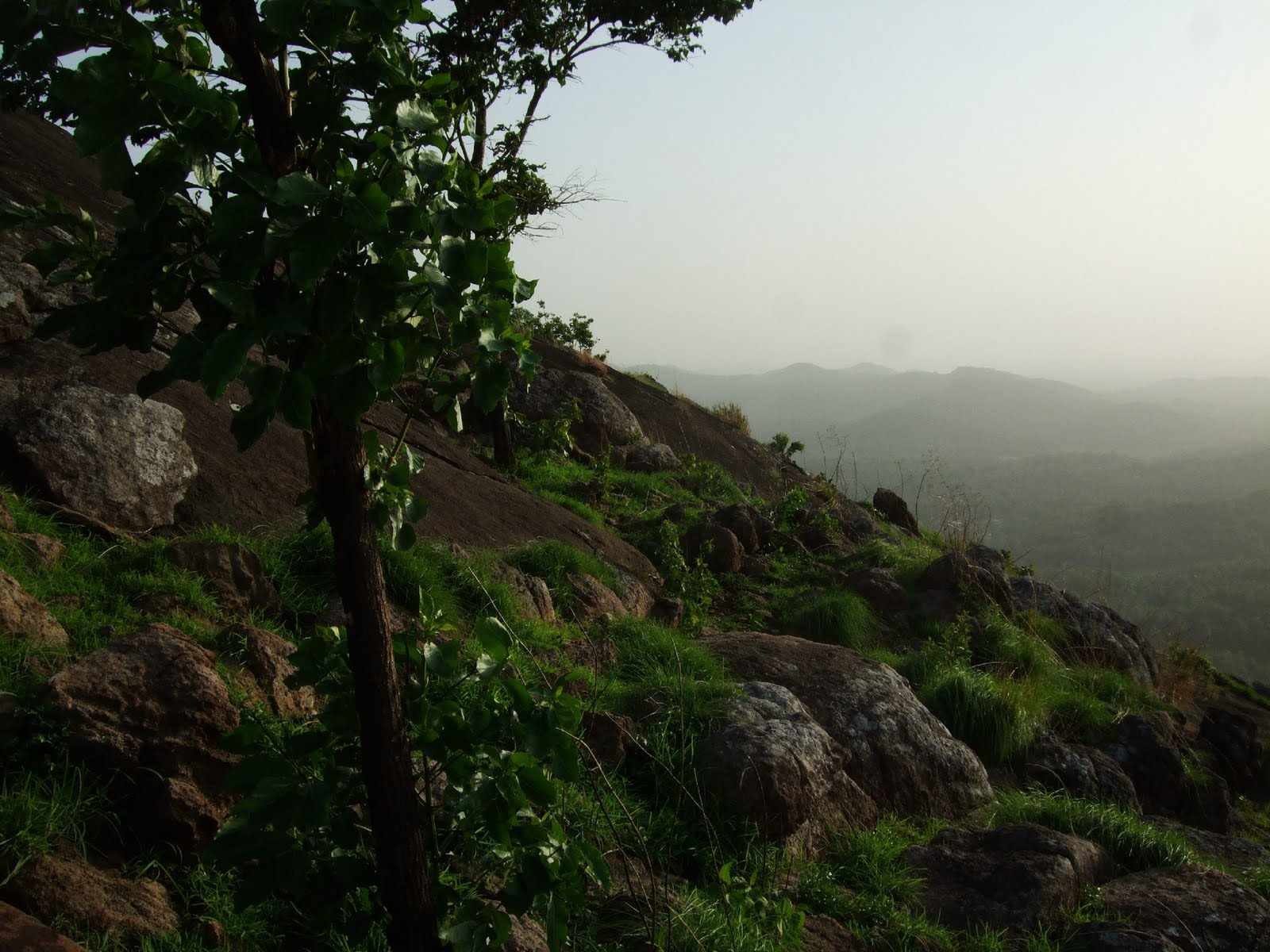 Exploring South India - Travel blog.....: ANANGANMALA (ECO TOURISM PROJECT)