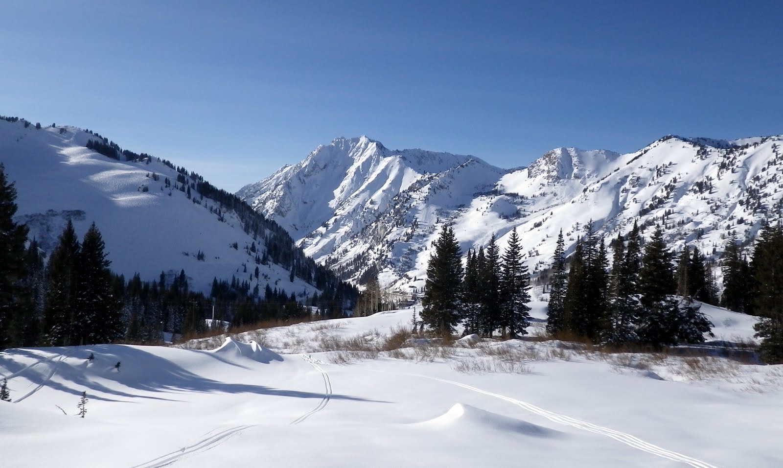 wasatch and beyond: First race of the year - SLC Winter Series 5K