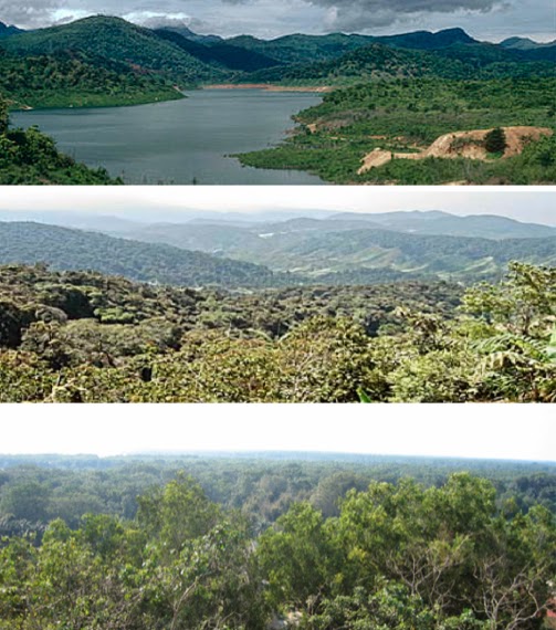 NephiCode: October 2014