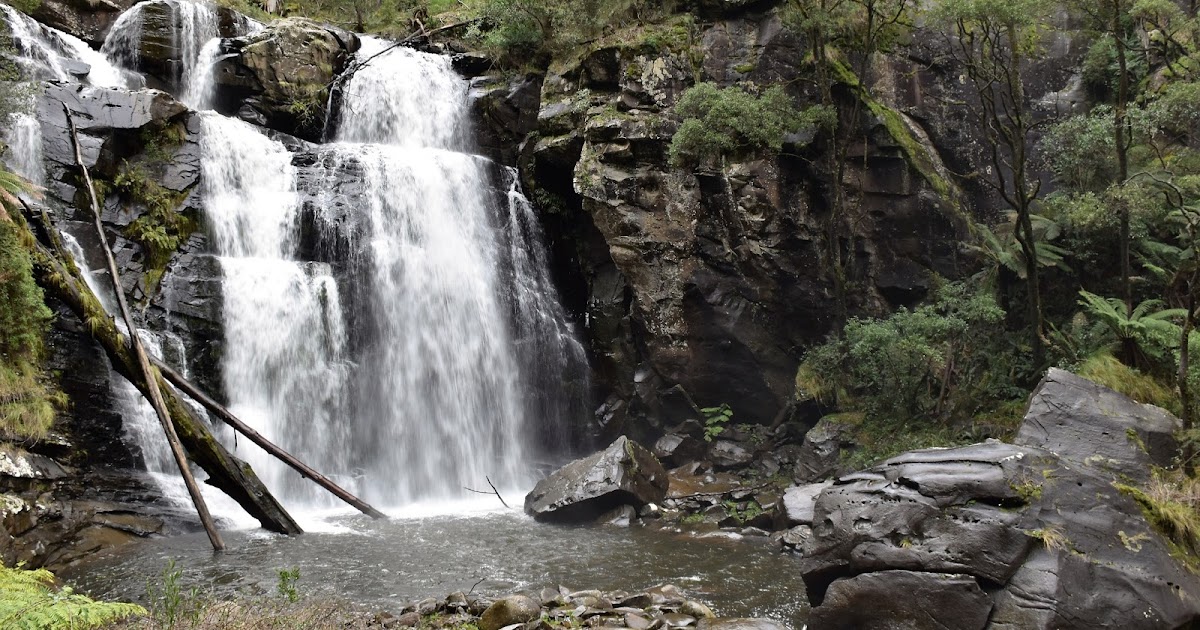 Goin' Feral One Day At A Time: Stevensons Falls, Otway Forest Park ...