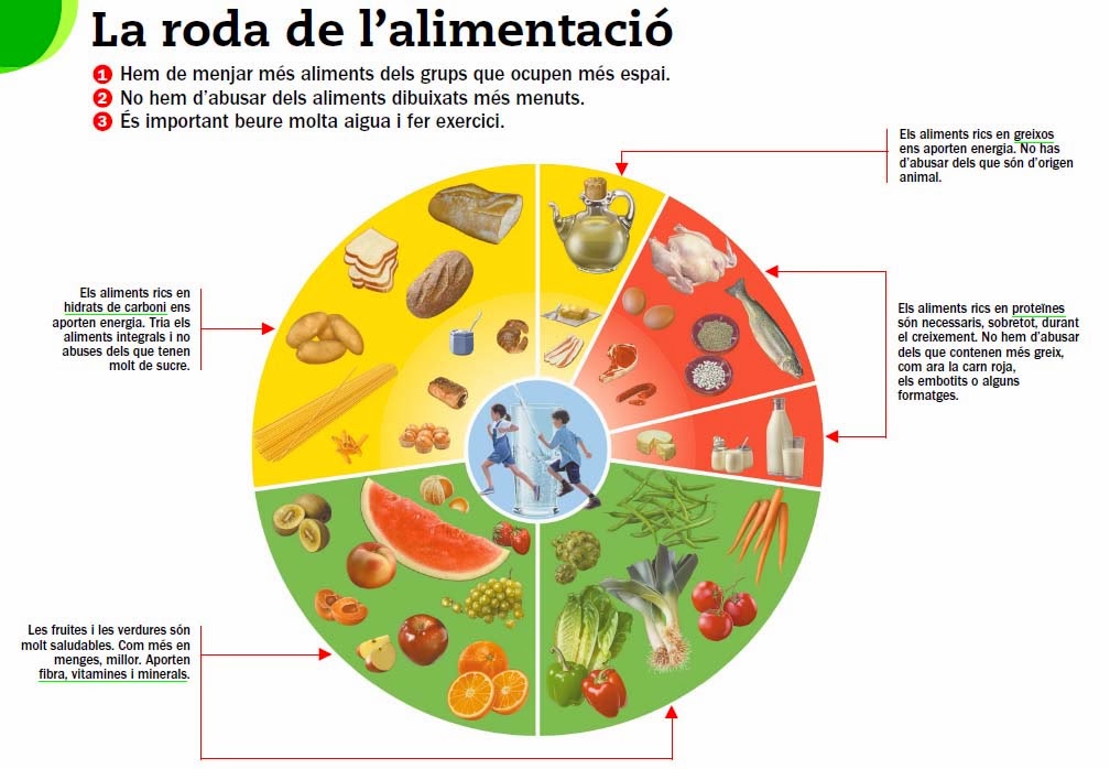velosipios: FUNCIÓ VITAL I: LA NUTRICIÓ